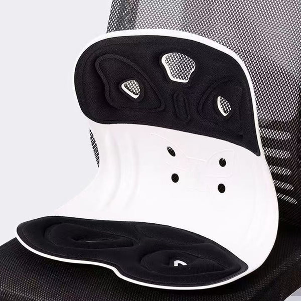 Posture Pro LUMBAR SUPPORT XXL Ergonomic excellence: Lumbar support ch ...