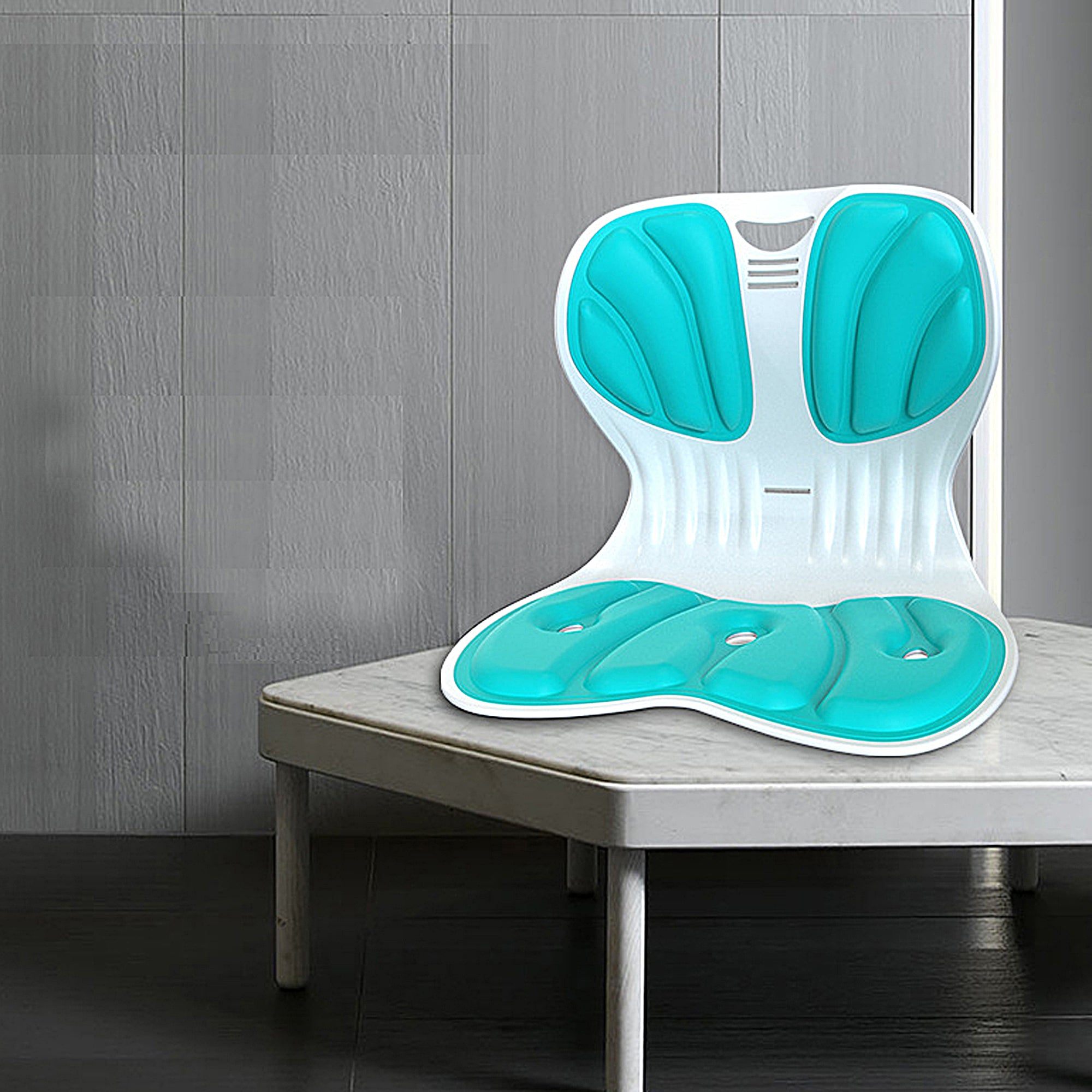 Posture Pro LUMBAR SUPPORT Ergonomic excellence: Lumbar support chair ...